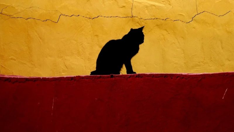 ALPHV (BlackCat) Ransomware Using Google Ads to Target Victims